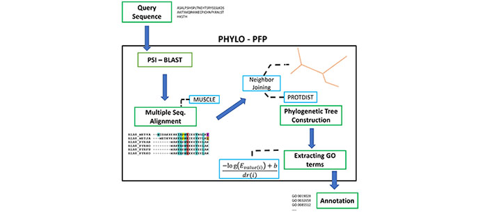 Structural and Computational Biology and Biophysics - Department of ...