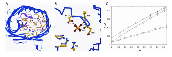 Purdue Biological Sciences: William Cramer Lab: The Colicin Translocon