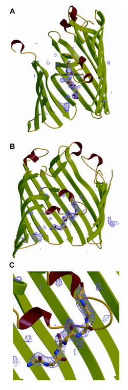 Purdue Biological Sciences: William Cramer Lab: The Colicin Translocon